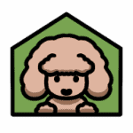 Poodle Miami Cut: A Classic Poodle Style with a Twist